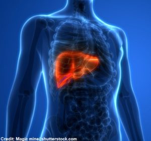 Hepatitis A, B, C, D, E Nursing NCLEX Review