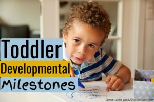 Toddler Developmental Milestones NCLEX Questions Quiz