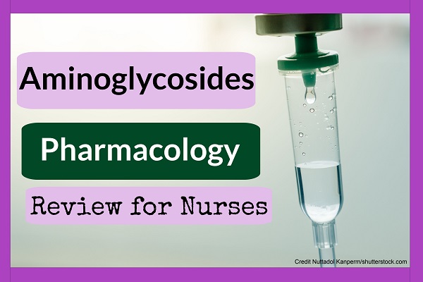 Aminoglycosides (Antibiotics) NCLEX Quiz Questions