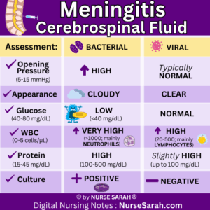 Meningitis Explained: Nursing NCLEX Review